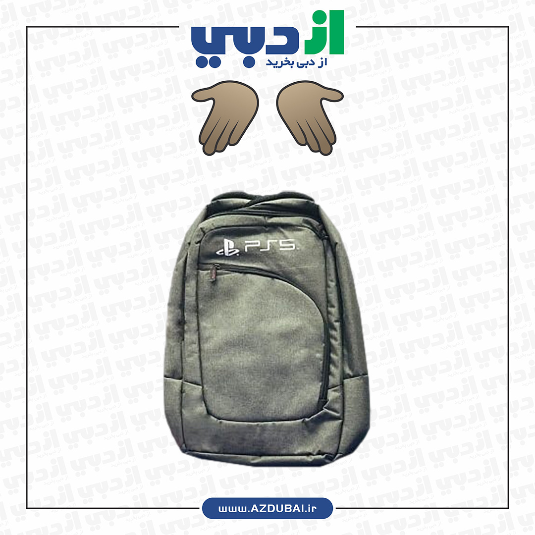 کیف ضد ضربه مخصوص PS5 – مدل SPS5-B2 | خرید از دبی